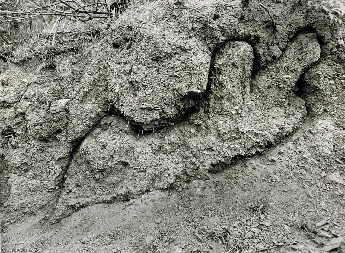 Earth Art From Mendieta To Smithson
